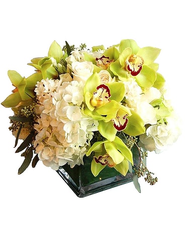 Florist delivered modern arrangements Palm Springs Florist