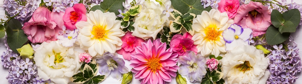 Local Fort Collins Flower Shop | Downtown Floral Boutique