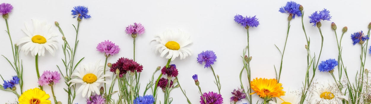 Local Fort Collins Flower Shop | Downtown Floral Boutique