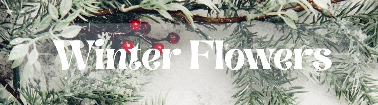 Local Fort Collins Flower Shop | Downtown Floral Boutique