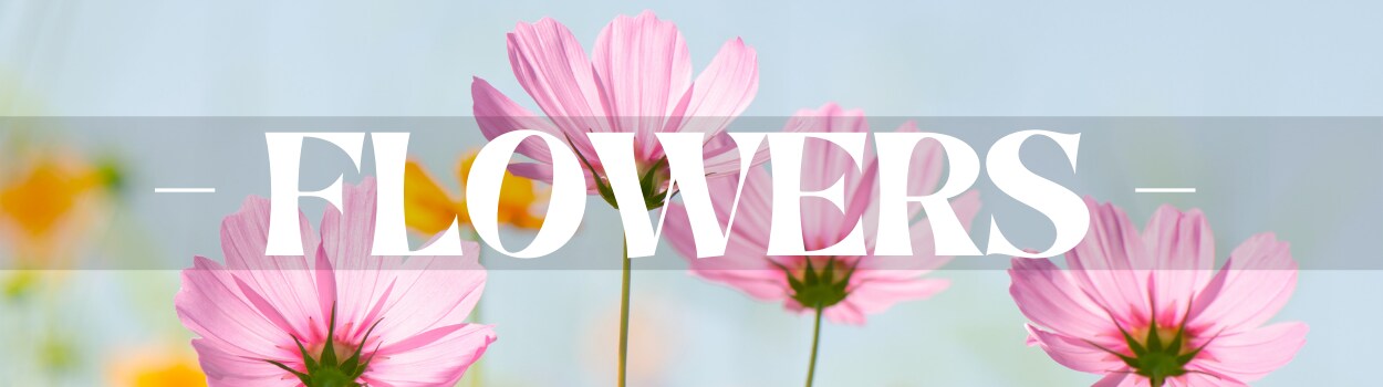 Local Fort Collins Flower Shop | Downtown Floral Boutique