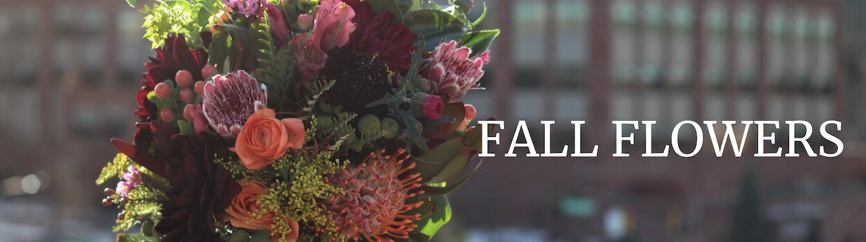 Local Fort Collins Flower Shop | Downtown Floral Boutique