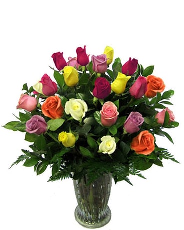 Two Dozen Rainbow Roses - Sylvia's - Amling's Flowers