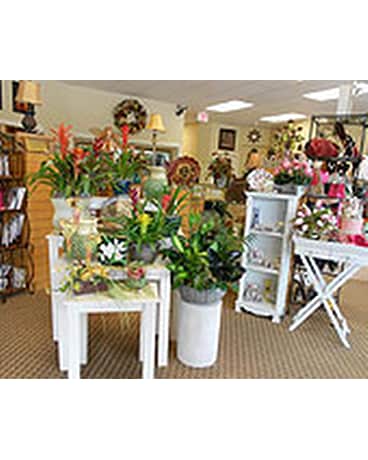 Florist Westerville OH Near Me - Flower Delivery Westerville OH