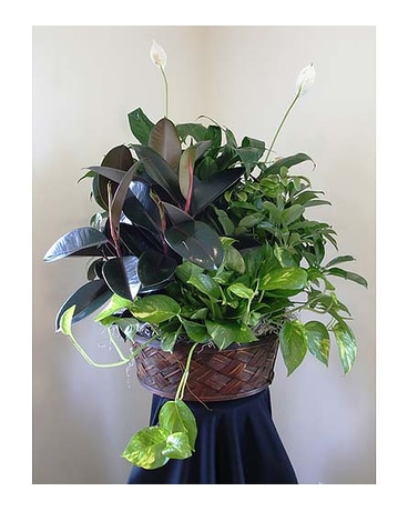 European Garden in Nashville TN - Flowers By Louis Hody