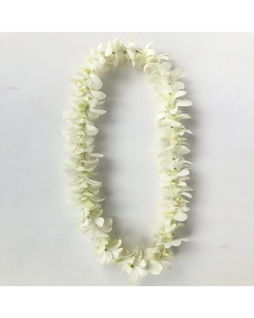 White Lei in Seattle WA - Hansen's Florist