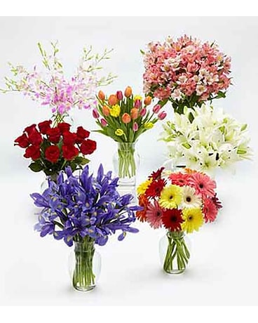 Kingston Florist - Flower Delivery by Pam's Flower Garden