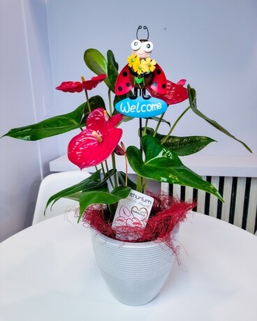 Kingston Florist - Flower Delivery by Pam's Flower Garden