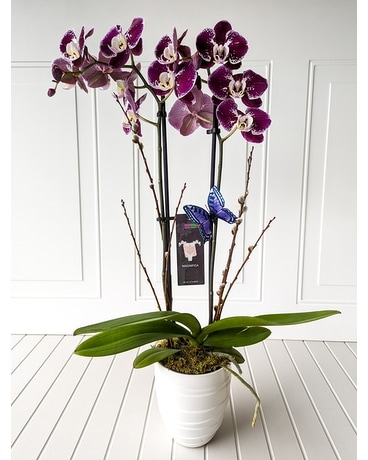 Kingston Florist - Flower Delivery by Pam's Flower Garden