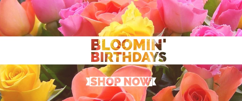 Somerset Florist - Flower Delivery by Flower Station