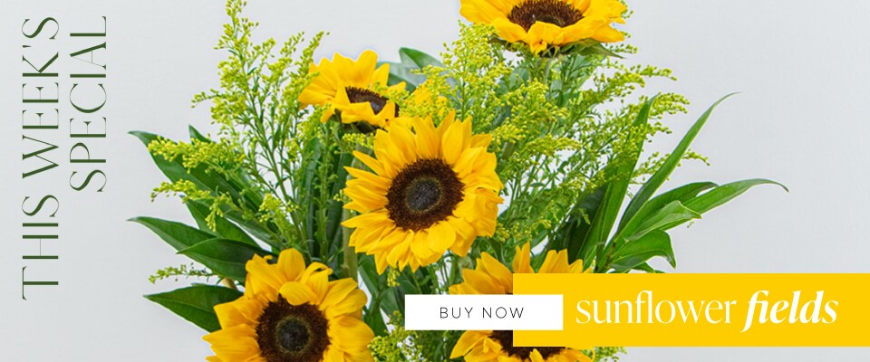 Tacoma Florist - Flower Delivery by Tacoma Buds and Blooms formerly ...