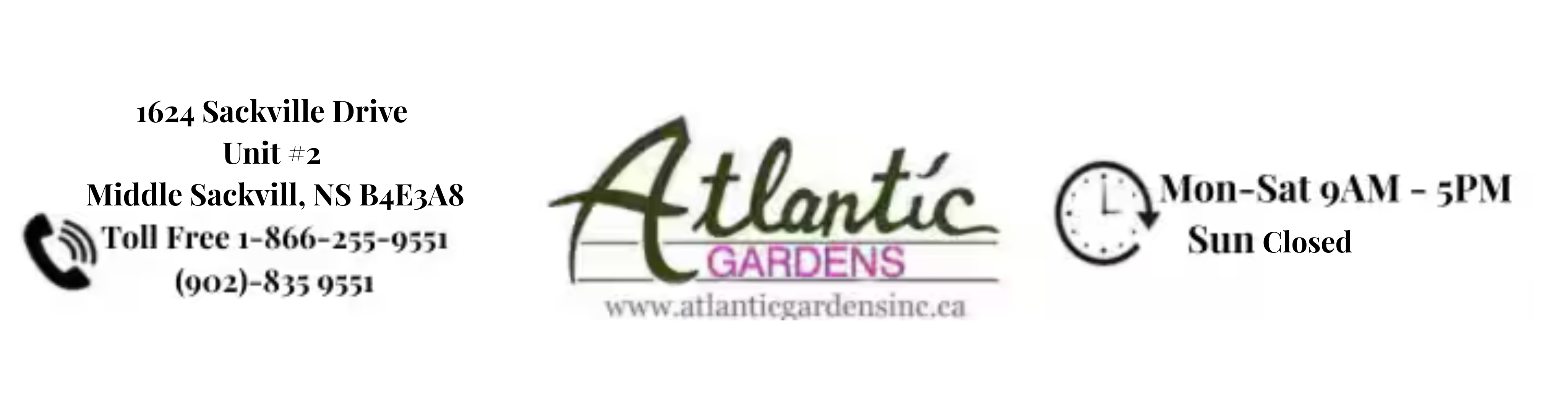 Middle Sackville Florist - Flower Delivery by Atlantic Gardens Florist