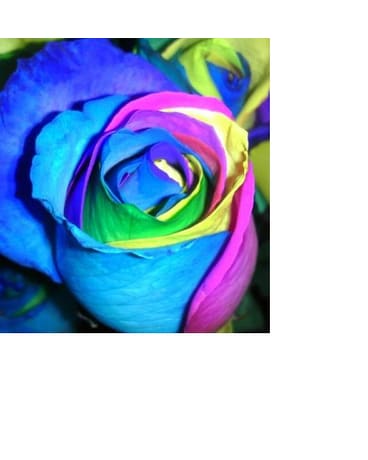 Allentown Florist - Flower Delivery by Ashley's Florist Your Allentown ...