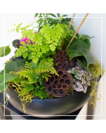 Plants Delivery Bend OR - Donner Flower Shop