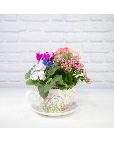 Chicago Florist - Flower Delivery by La Salle Flowers
