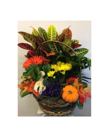 Dayton Florists - Flowers Dayton OH - Furst The Florist & Greenhouses