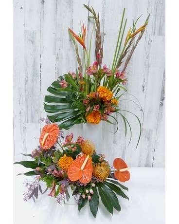 Lobby & Office Flowers in Washington DC, Bethesda, Rockville and beyond!