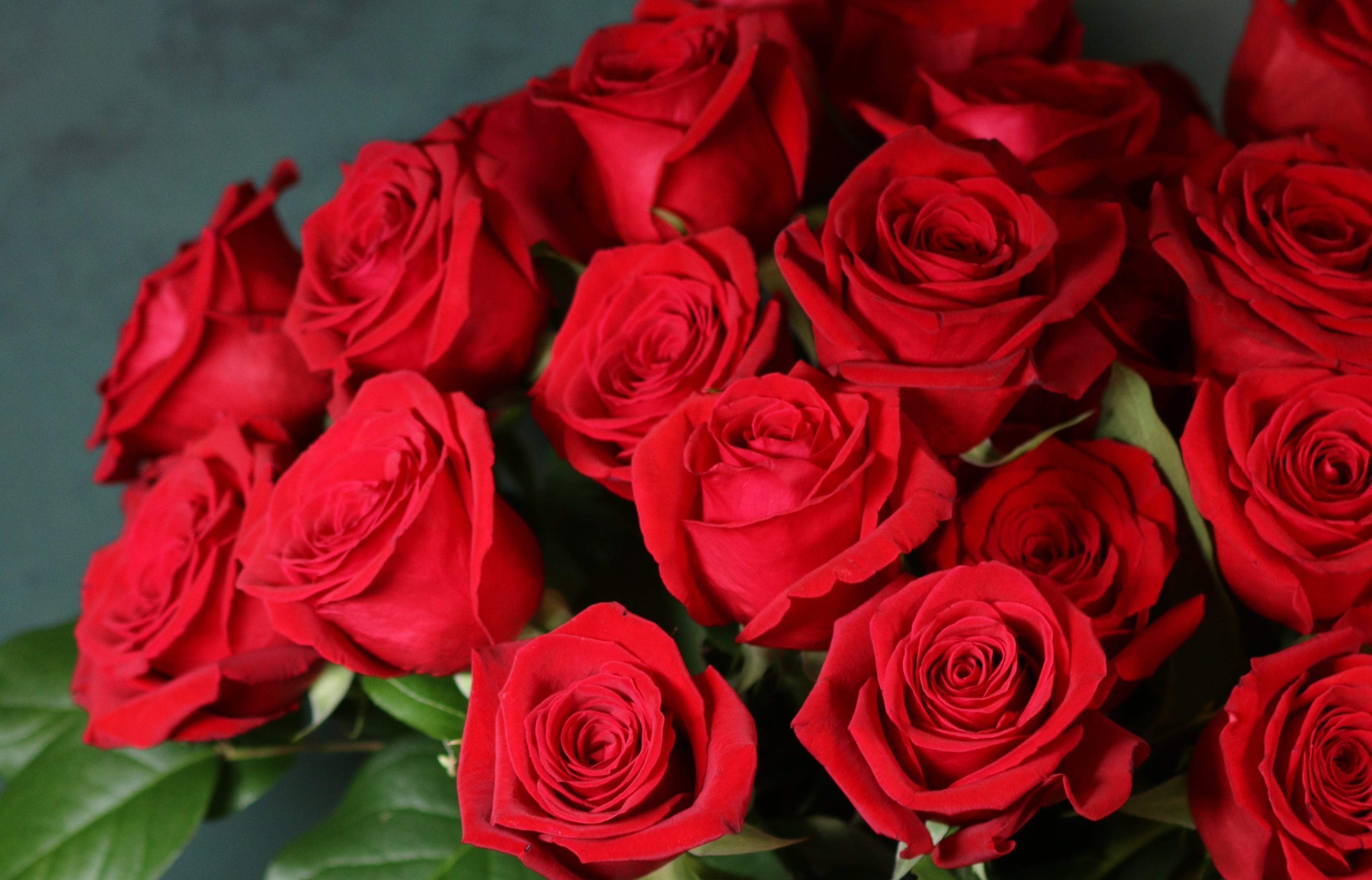 St. Clair Shores Florist - Flower Delivery by Conner Park Florist