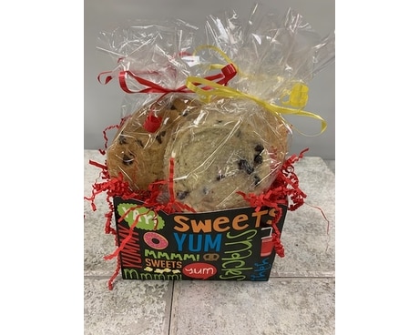 FSU Bulldogs Delivery Big Rapids MI - Patterson's Flowers, Inc.