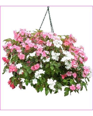 Olean Florist - Flower Delivery by Mandy's Flowers