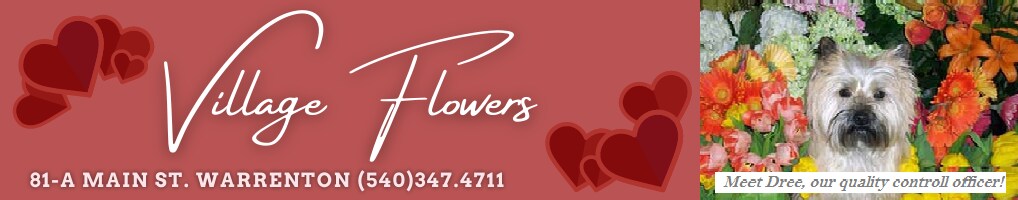 Warrenton Florist - Flower Delivery by Village Flowers
