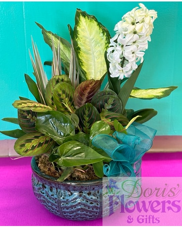 Columbia Florist - Flower Delivery by Doris' Flowers & Gifts