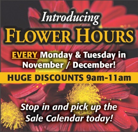 Green Bay Florist - Flower Delivery by Schroeder's Flowers