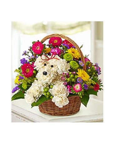 Concord Florist - Flower Delivery by Jory's Flowers