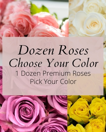 Dozen Roses - Choose Your Color in New Albany IN - Nance Floral Shoppe