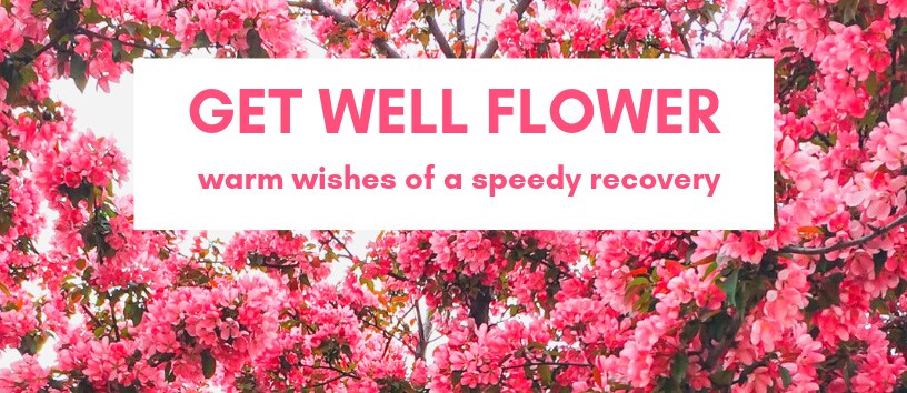 Rockville Florist - Flower Delivery by Koko Florist