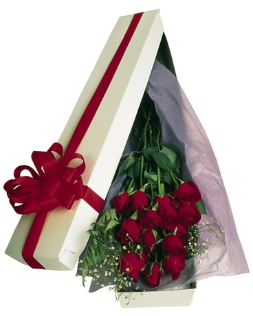 1 Dozen Boxed Roses in Windsor ON - Dak's Flowers
