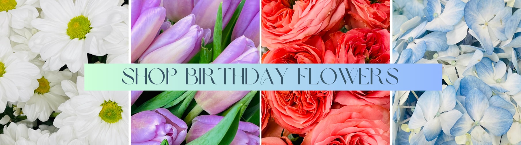 Florist Ajax, Oshawa, & Pickering Near Me - Flower Delivery Ajax ...