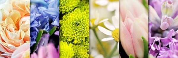 Florist Ajax Ontario - Flower Delivery In Ajax ON