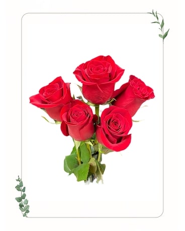 Bulk Red Roses in Ajax ON - Reed's Florist Ltd