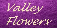 Valley Flowers - Proudly Serving the San Fernando Valley