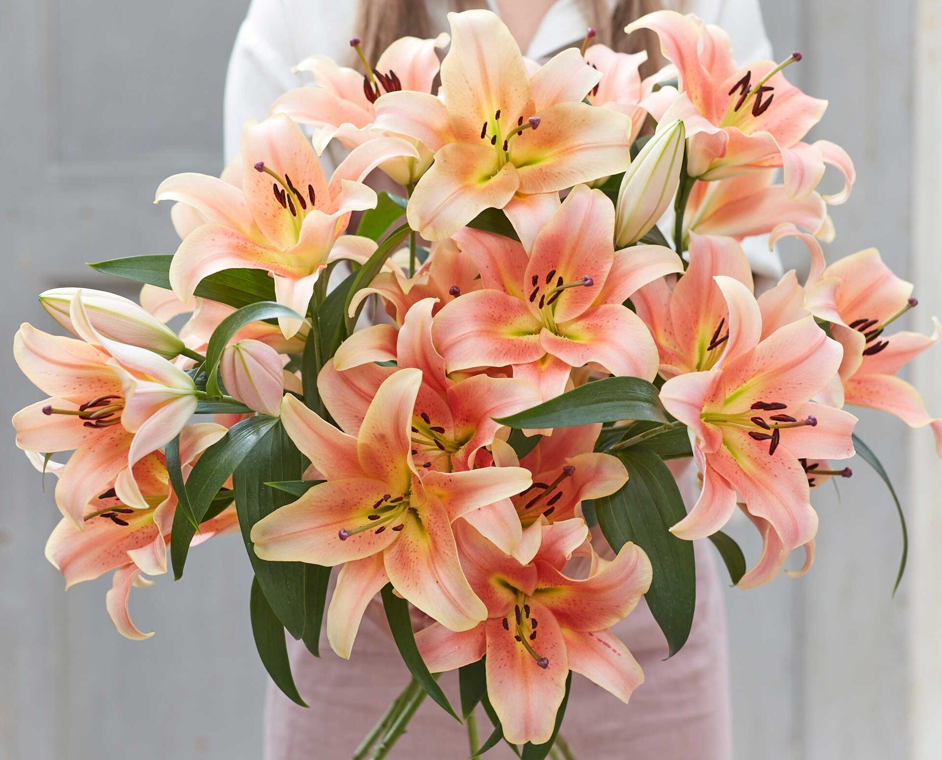 Salt Lake City Florist - Flower Delivery by Hillside Floral