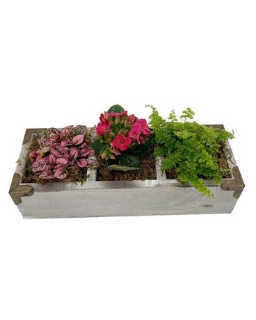 Planter Box in Salt Lake City UT - Hillside Floral