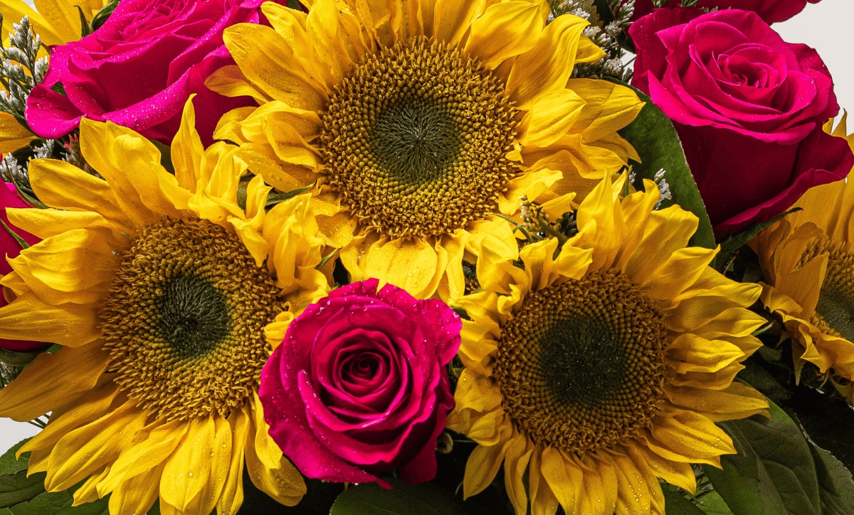 Pink roses and sunflowers