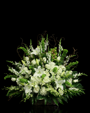 Blanc Lily Sympathy Basket in Boston MA - Stapleton Floral