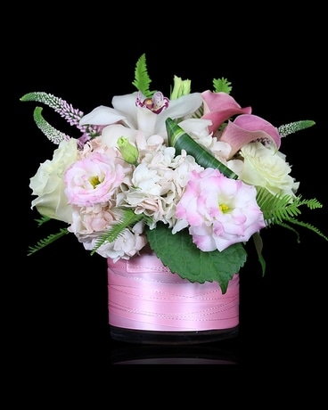 Pretty in Pink in Boston MA - Stapleton Floral