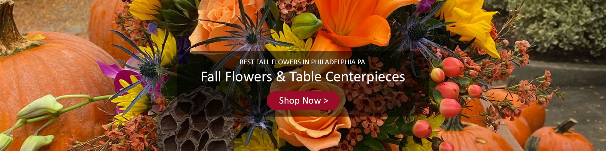 The Best Florists in Philadelphia have become Penny's By Plaza Flowers