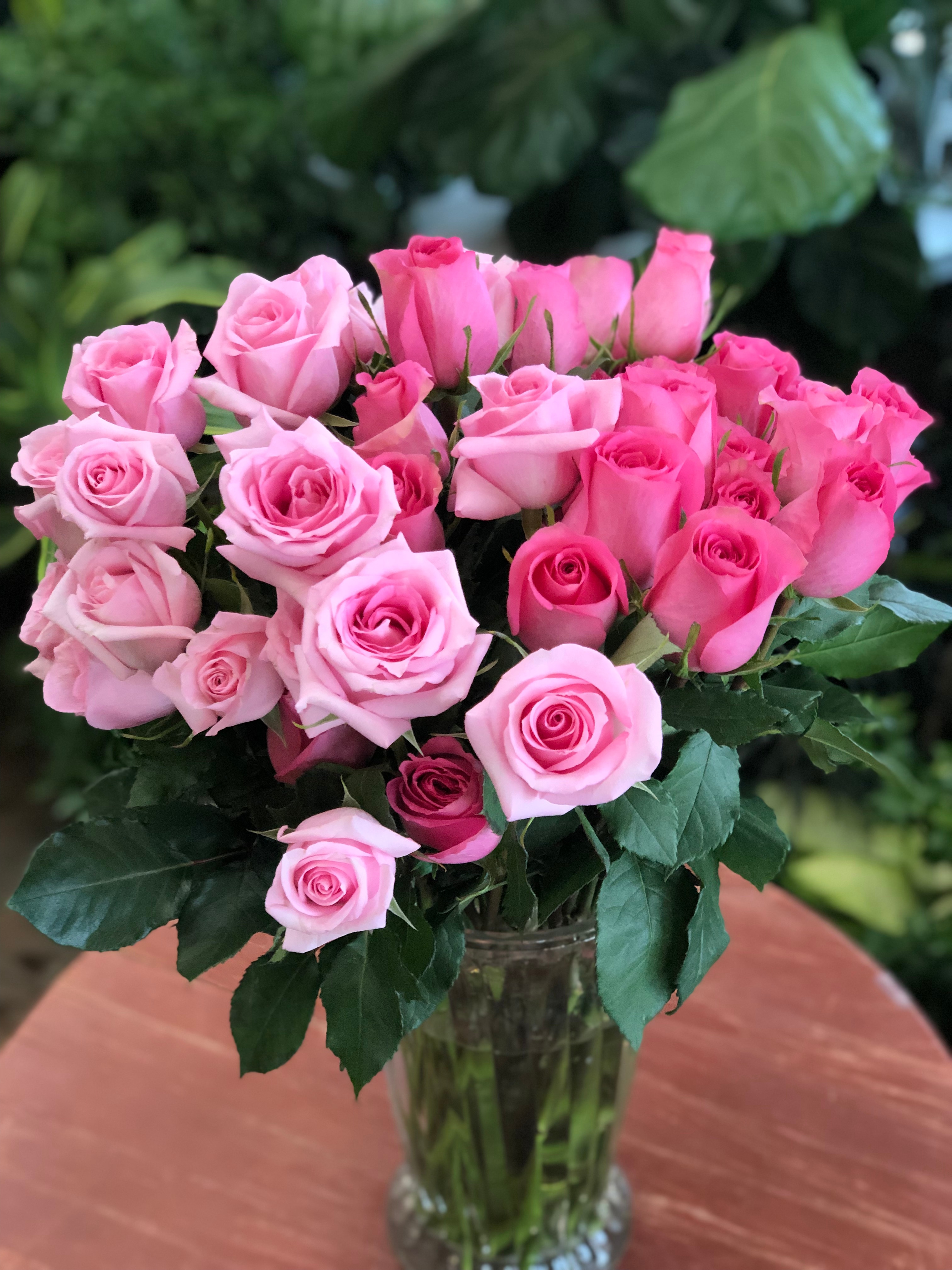 Penny's by Plaza | Farm Fresh Wholesale