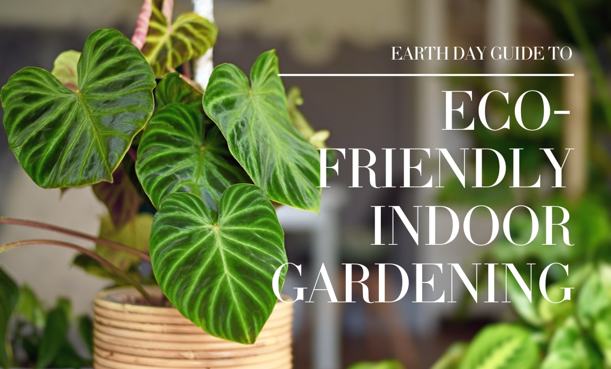 earth day plant blog