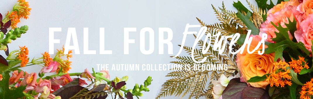 Dallas Florist - Flower Delivery by Dr Delphinium Designs & Events