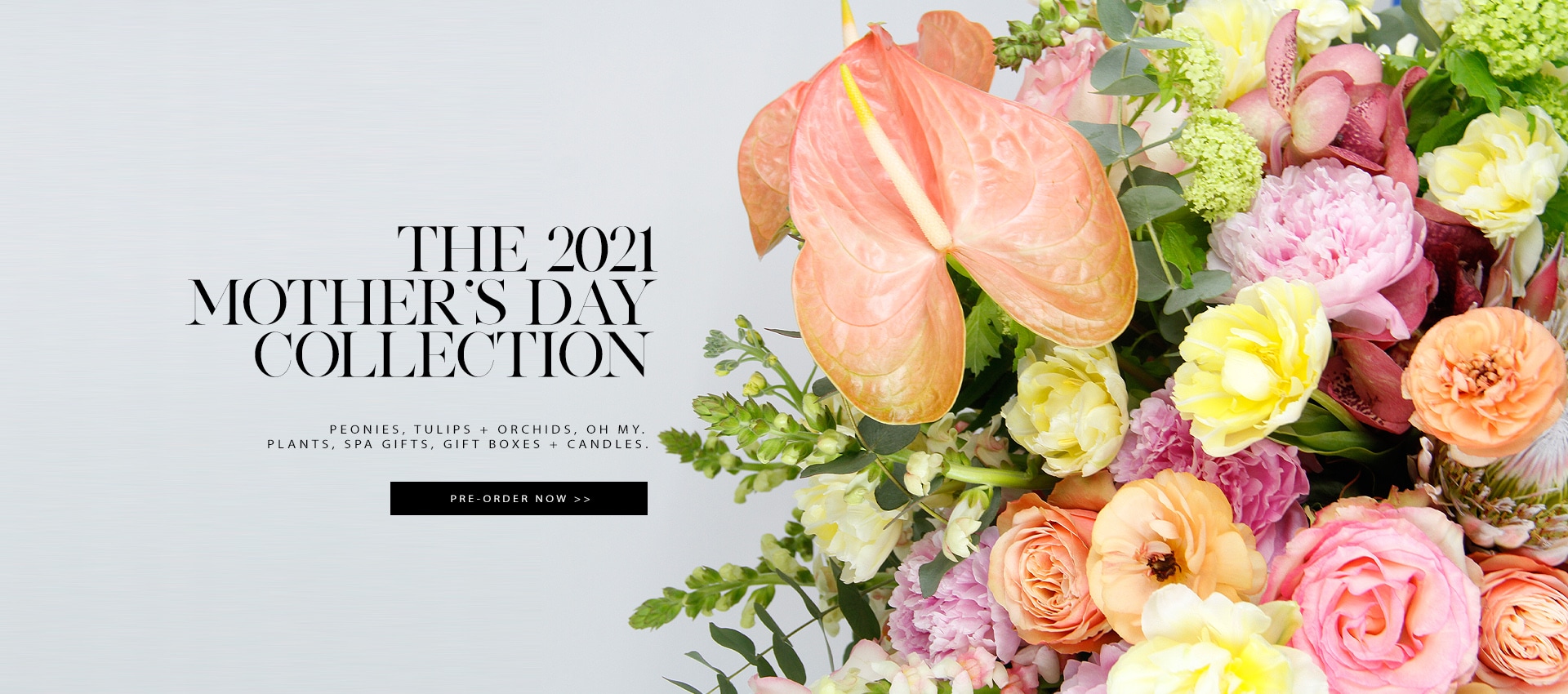 Dallas Florist - Flower Delivery by Dr Delphinium Designs & Events