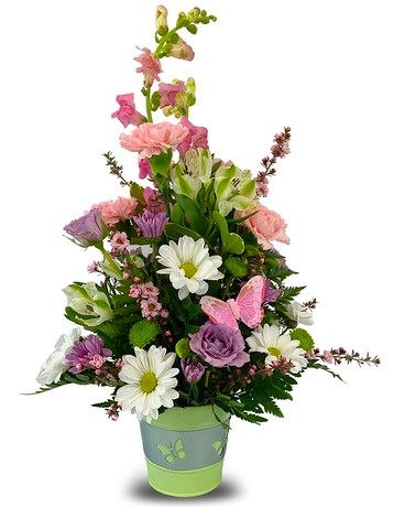 Shop by Flowers Delivery Elkland PA - The Rainbow Rose