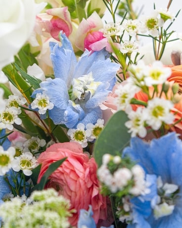 Springfield Florist - Flower Delivery by Jerome H. Schaffitzel Greenhouse