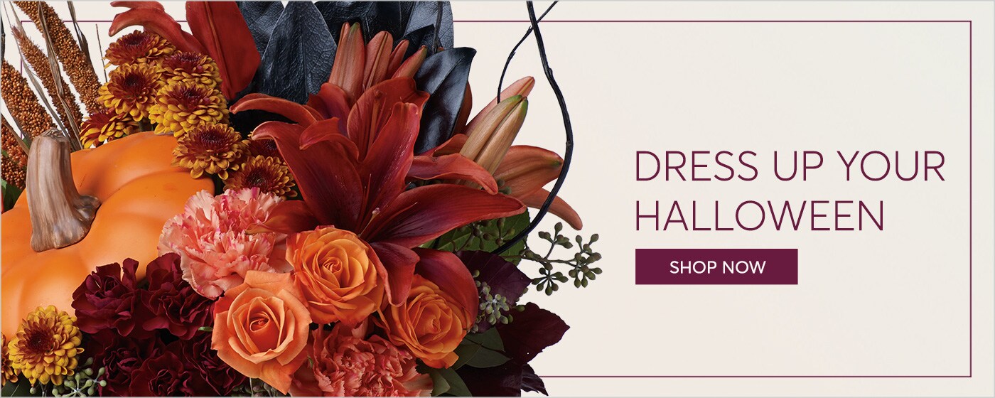 North York Florist - Flower Delivery by Joseph Flowers